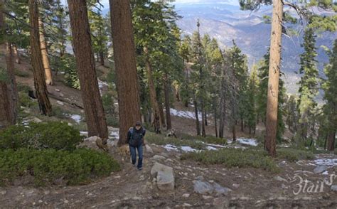 Baker Peak And Point Lookout Hiking In The Kern River Sierra