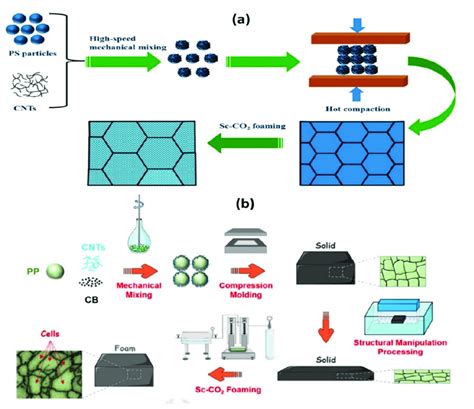 A Schematic Depicting The Fabrication Of A Segregated Structure Download Scientific Diagram