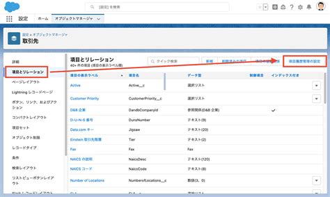 Salesforce のシステム管理者の設定 〜項目変更履歴を使ってみよう〜 Blog 福岡 佐賀【サンビット株式会社】クラウドと産業ロボットシステム