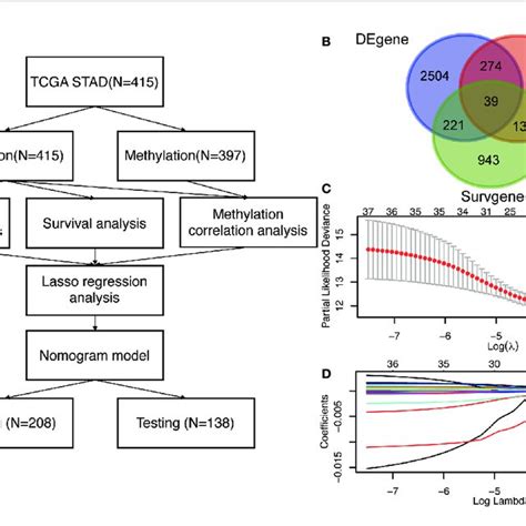 The Identification Of Dna Methylation Driven Genes In Gc A The Download Scientific Diagram