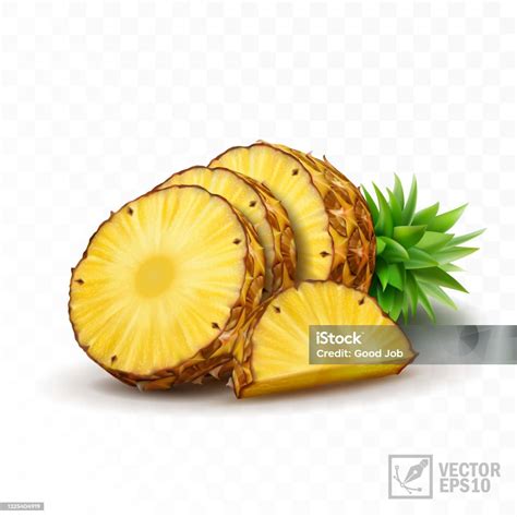 3d 사실고립 벡터 파인애플 세트 잎 슬라이스 및 반 파인애플 파인애플에 대한 스톡 벡터 아트 및 기타 이미지 파인애플 0