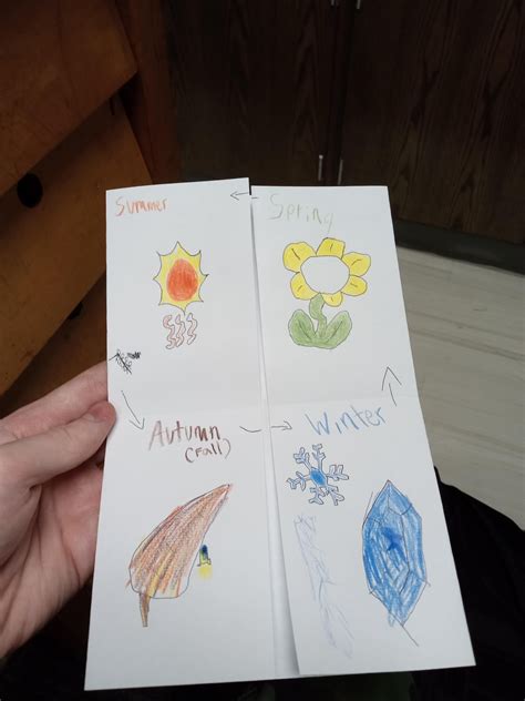 So In Science Class We Did A Foldable Thingy And I Decided To Put In A