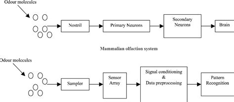 Figure 1 From A Review Of Gas Sensors Employed In Electronic Nose Applications Semantic Scholar