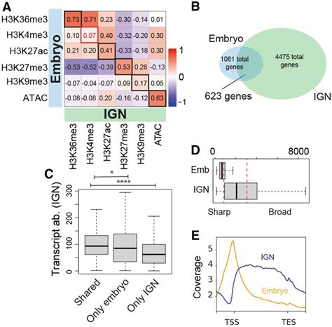 Characterization Of The Distribution And Dynamics Of Chromatin States