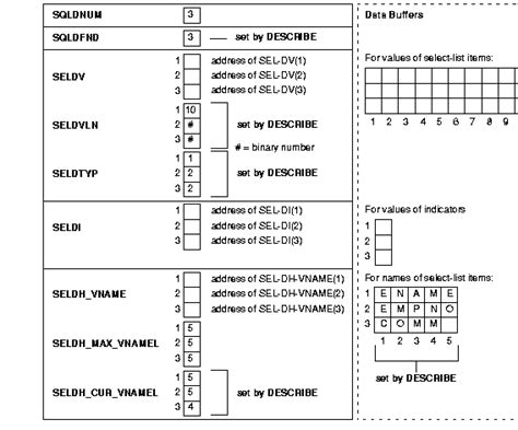 Oracle Dynamic Sql Method 4