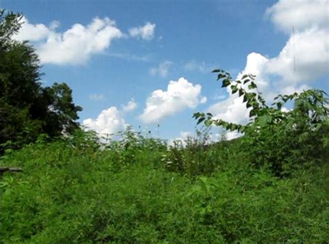 Strings Attached Open Source String Trimmer Open Source Ecology Strings Attached Open Source String Trimmer Open Source Ecology