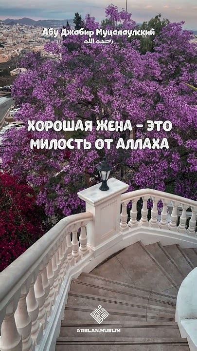 Хорошая жена это милость от Аллаха Абу Джабир да помилует его Аллах Youtube