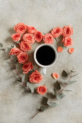 질감베이지 배경에 신선한 산호 장미와 유칼립투스 가지로 둘러싸인 블랙 커피 한 잔 0명에 대한 스톡 사진 및 기타 이미지 0