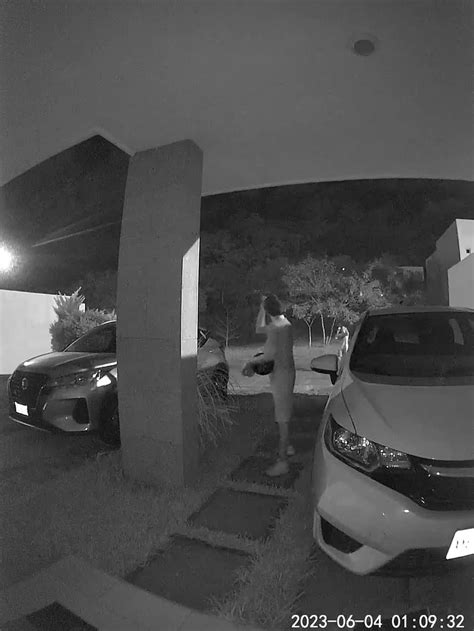 Ding Dong Ditcher Got Caught Album On Imgur