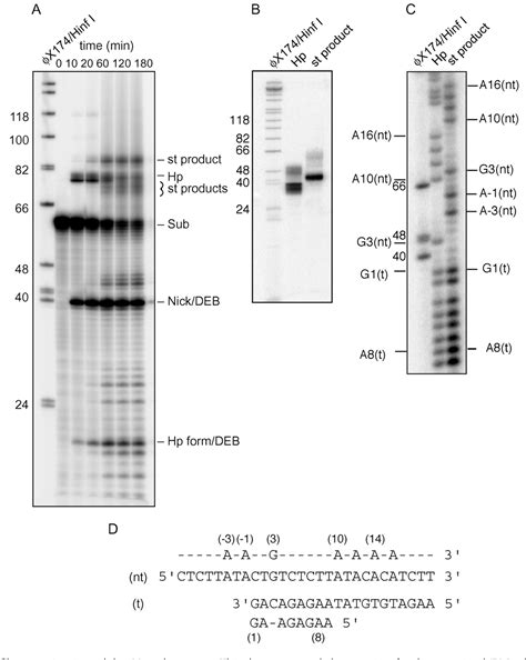 Figure 5 From Dna Sequence Bias During Tn5 Transposition Semantic Scholar
