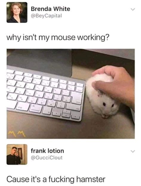 18 Mouse Memes And Funny Pictures Ideas To Save Today Hilarious