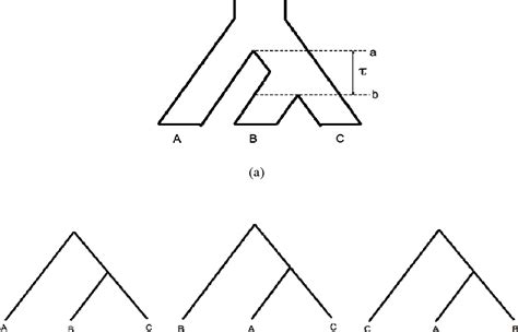 Figure 1 From Estimation Of Species Tree Using Approximate Bayesian