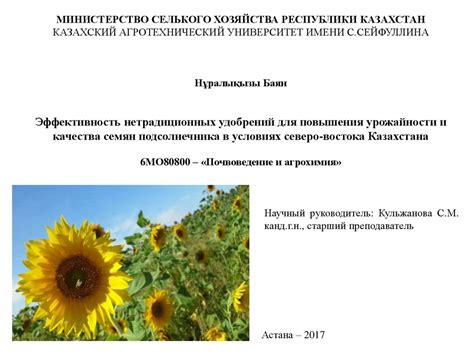 Эффективность нетрадиционных удобрений для повышения урожайности семян подсолнечника в условиях