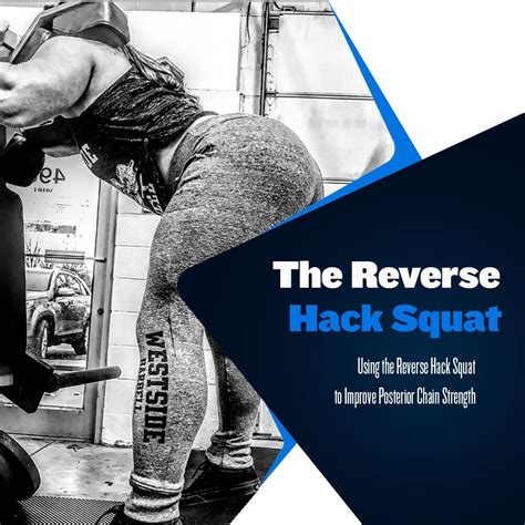 Reverse Barbell Hack Squat