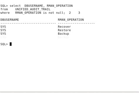 auditing with unified auditing