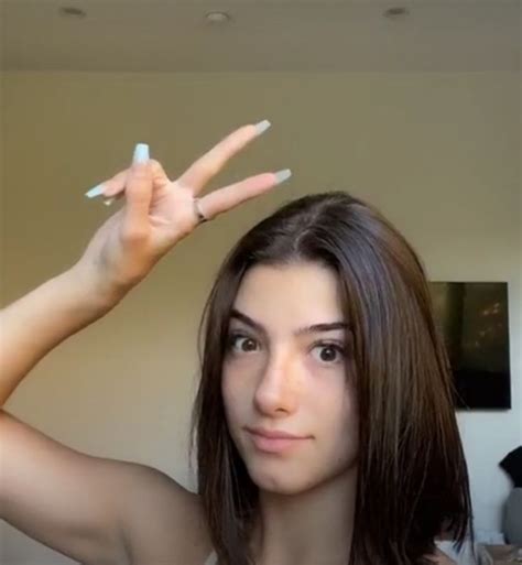 Pin By Lucy Campos On Charlie Damelio In Charli D Amelio Charlie Damelio Charlie