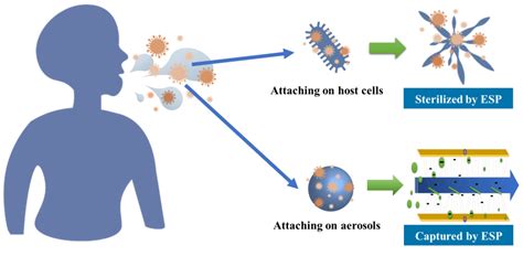 Electrostatic Precipitator Design Optimization For The Removal Of Aerosol And Airborne Viruses