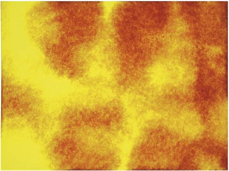 Roylco® Color Diffusing Paper 9 X 12 50 Sheets R 15213 Supplyme