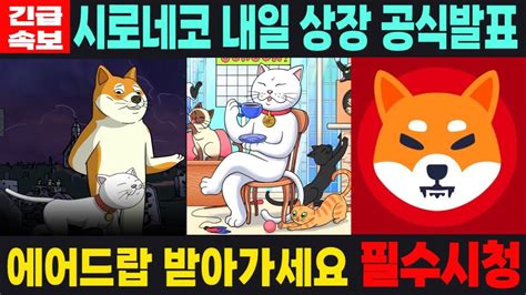 시로네코 밈코인 긴급속보 내일 상장 공식발표 에어드랍 받아가세요 필수시청 코미녀 Youtube