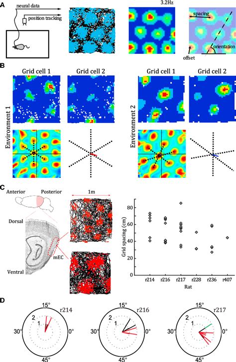 Figure 1 From Using Grid Cells For Navigation Semantic Scholar