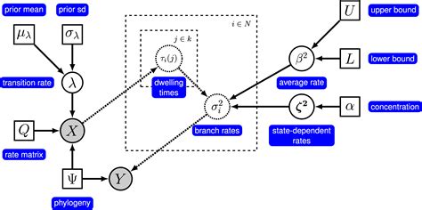 Revbayes State Dependent Brownian Rate Estimation