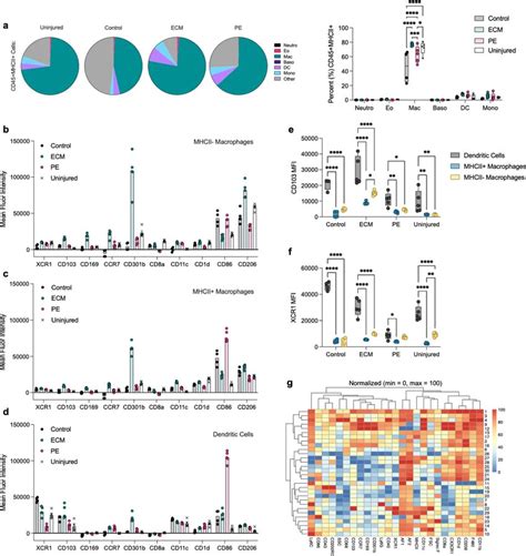 Phenotyping Markers Of Macrophages And Dendritic Cells A Mhcii Download Scientific Diagram