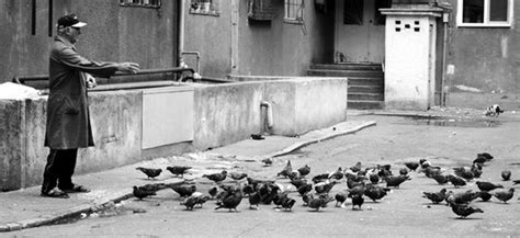 Как установить плагин в Вордпресс