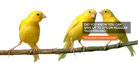 Announcing The Tilos Scheduling Software Promotion For A Limited Time Announcing The Tilos Scheduling Software Promotion For A Limited Time