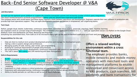 senior software developer python ppt