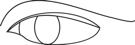 Download Line Art Drawing Eye Diagram Eye Line Drawing Simple Clipart