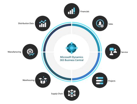 unlocking business potential a deep dive into microsoft business