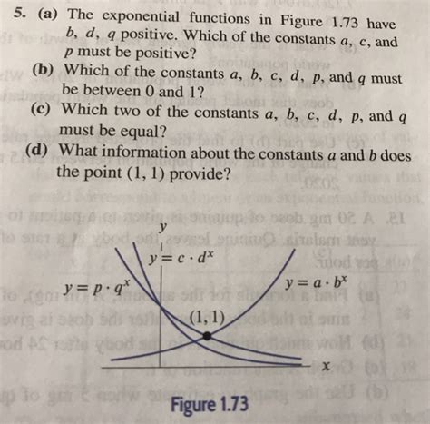 Solved A The Exponential Functions In Figure Have Chegg