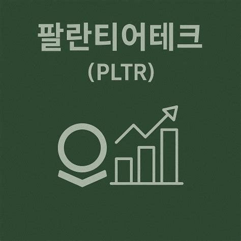 해외 주식 분석 17탄 팔란티어테크pltr