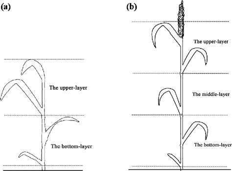 figure 1 from off nadir hyperspectral sensing for estimation of