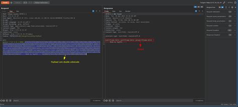 Ssrf Protocol Smuggling