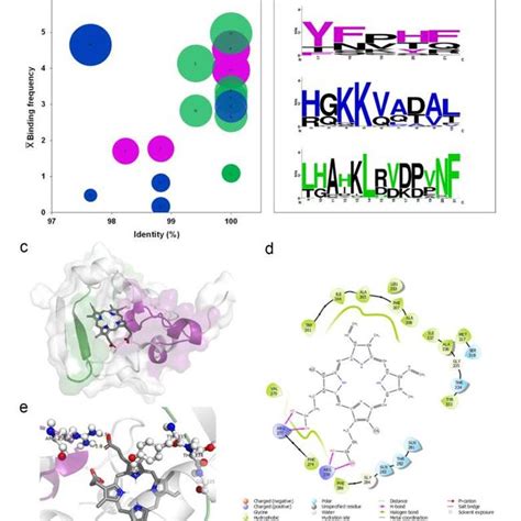 Heme Binding Motifs Identified By An In Silico Analysis A The