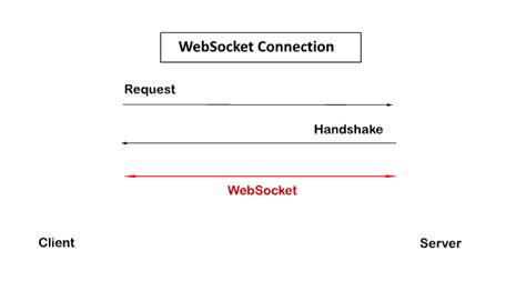 Web Socket Vulnerabilites