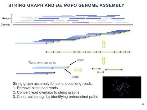 Recent Progress In Long Read Genome Assembly Theory Practice And