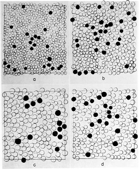Figure 1 From Variations In The Mitotic Activity In Different Regions