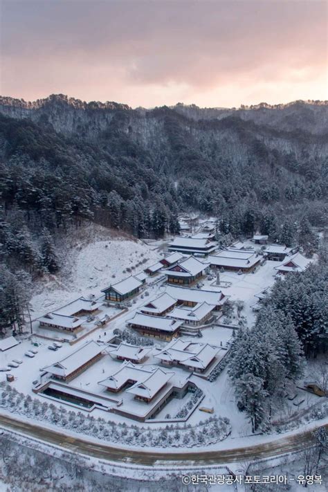 설경이 만들어 낸 시간 속 쉼표🕯 강원 평창 월정사 눈부신 설경 속 한 폭의 그림 오대산의 깊은 숲과 어우러진 월정사에서 고요함을 대한민국 구석구석 Band