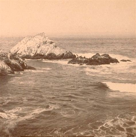 C L I F F H O U S E Foundsf