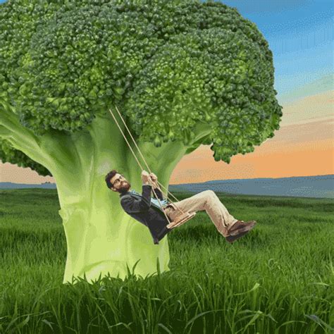 Broccoli Tree Gifs Get The Best Gif On Giphy My XXX Hot Girl