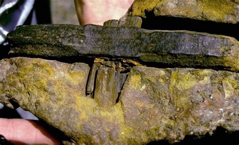 Million Year Old Artefacts