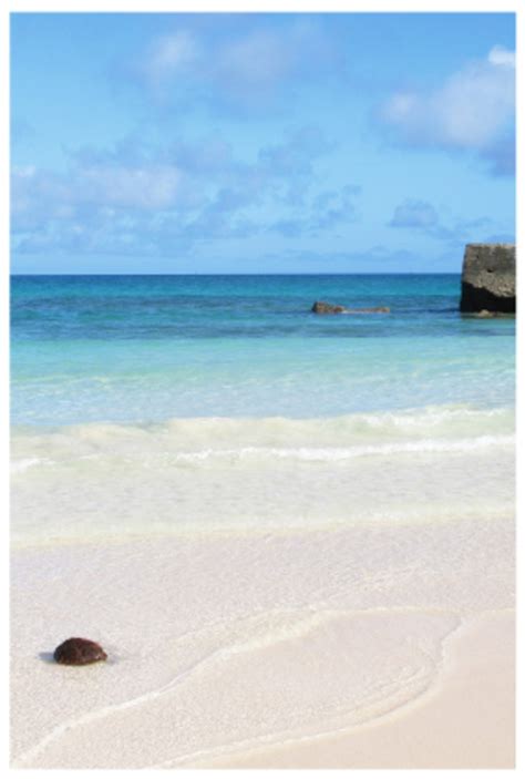 Miyako Blue 2 Kyoko Endo