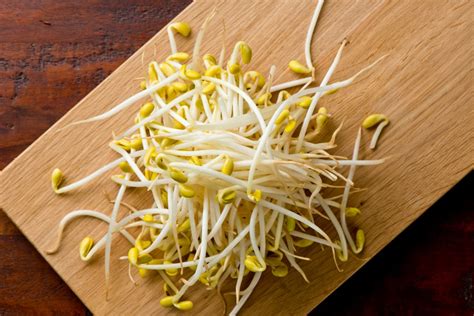 What Do Bean Sprouts Taste Like Answered Miss Vickie