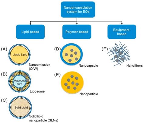 Types Of Nanoencapsulation Reproduced From Ref 88 With Permission Types Of Nanoencapsulation Reproduced From Ref 88 With Permission