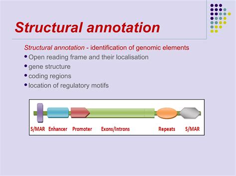 Genome Annotation 2013 Ppt Genetics Science