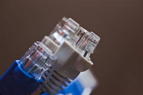 Macro Shot Of A Blue Rj45 Ethernet Cable Internet Cable Patchcord