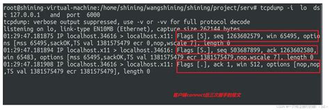 系统监测工具 Tcpdump的使用tcpdump Flags Csdn博客