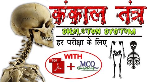Biology Gk Tricks Classification Of Bones In Human Body Skeletal System In Hindi Youtube